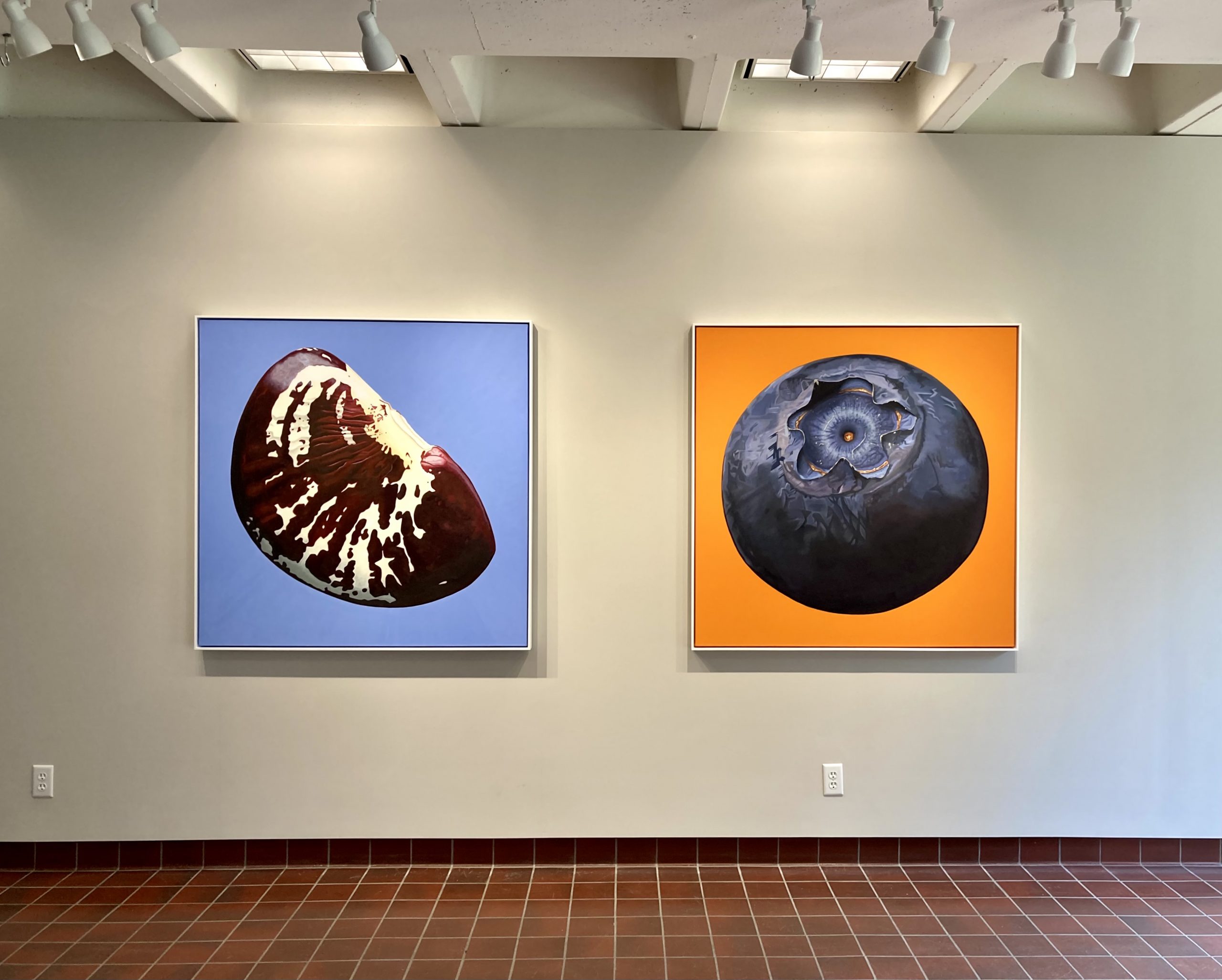 Galleries - Anderson Center at Tower View